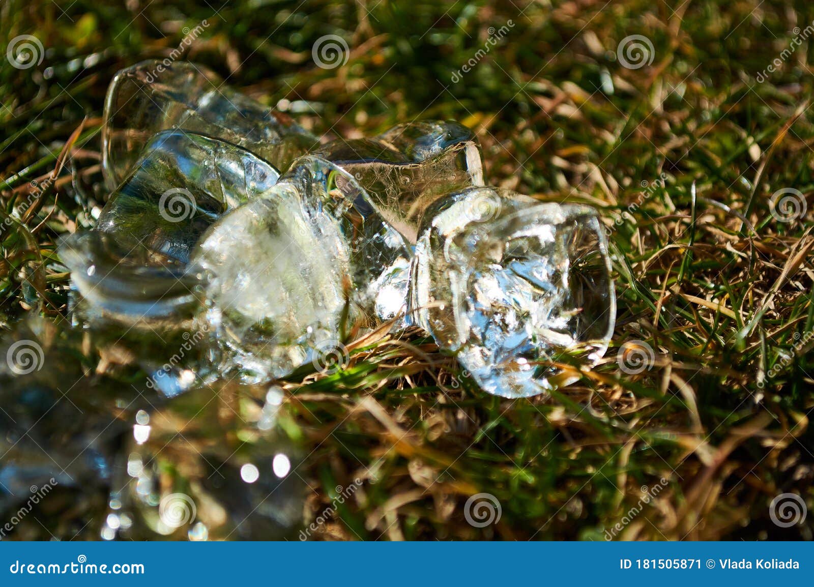 Background or Texture of Ice Cubes Melting Under Sun on the Green Lawn ...