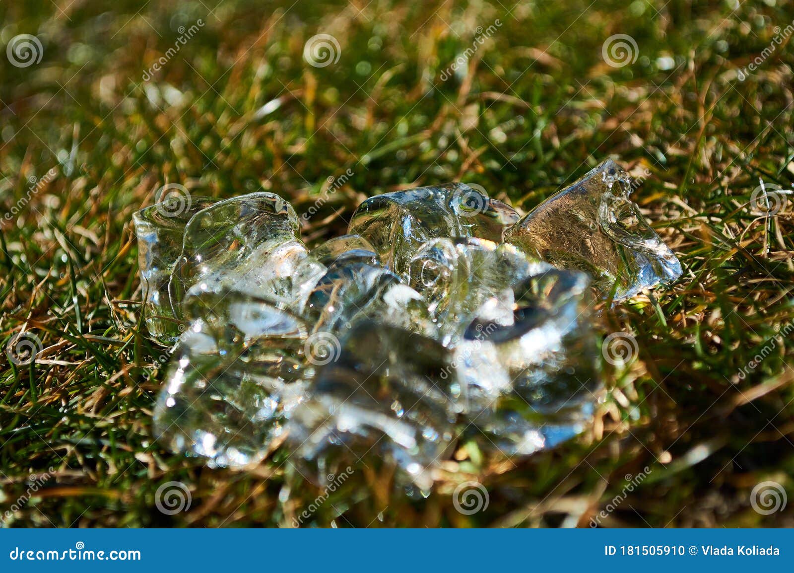 Background or Texture of Ice Cubes Melting Under Sun on the Green Lawn ...
