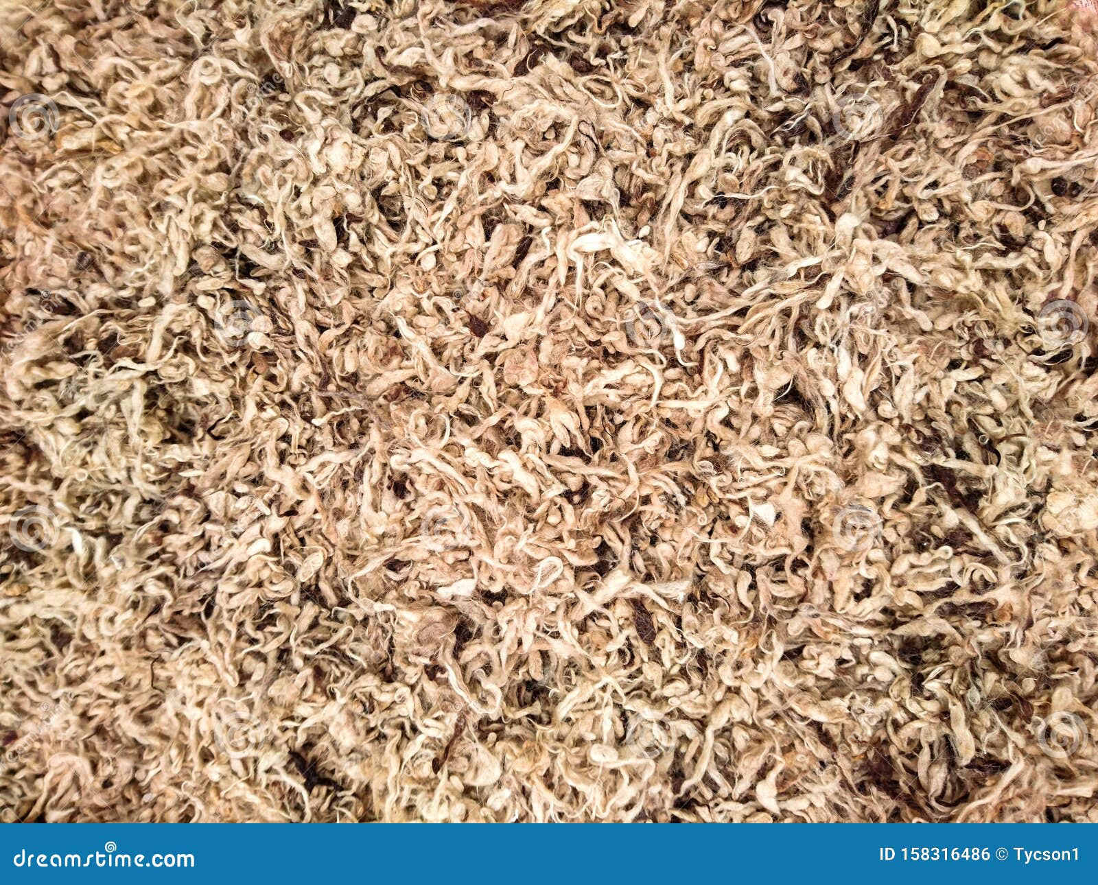 Background Texture Image of Natural Raw Sheep Wool Stock Photo - Image ...