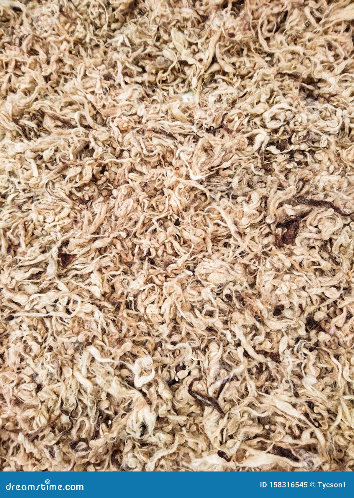 Background Texture Image of Natural Raw Sheep Wool Stock Image - Image ...