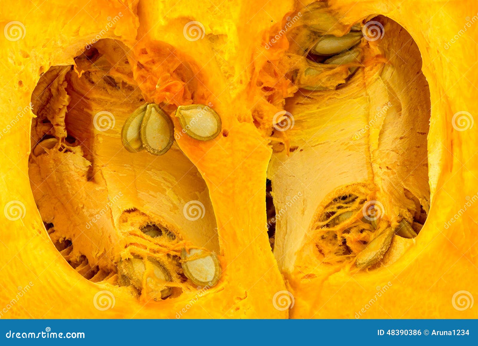 Background Texture of Inside of Orange Seeded Pumpkin Stock Photo ...
