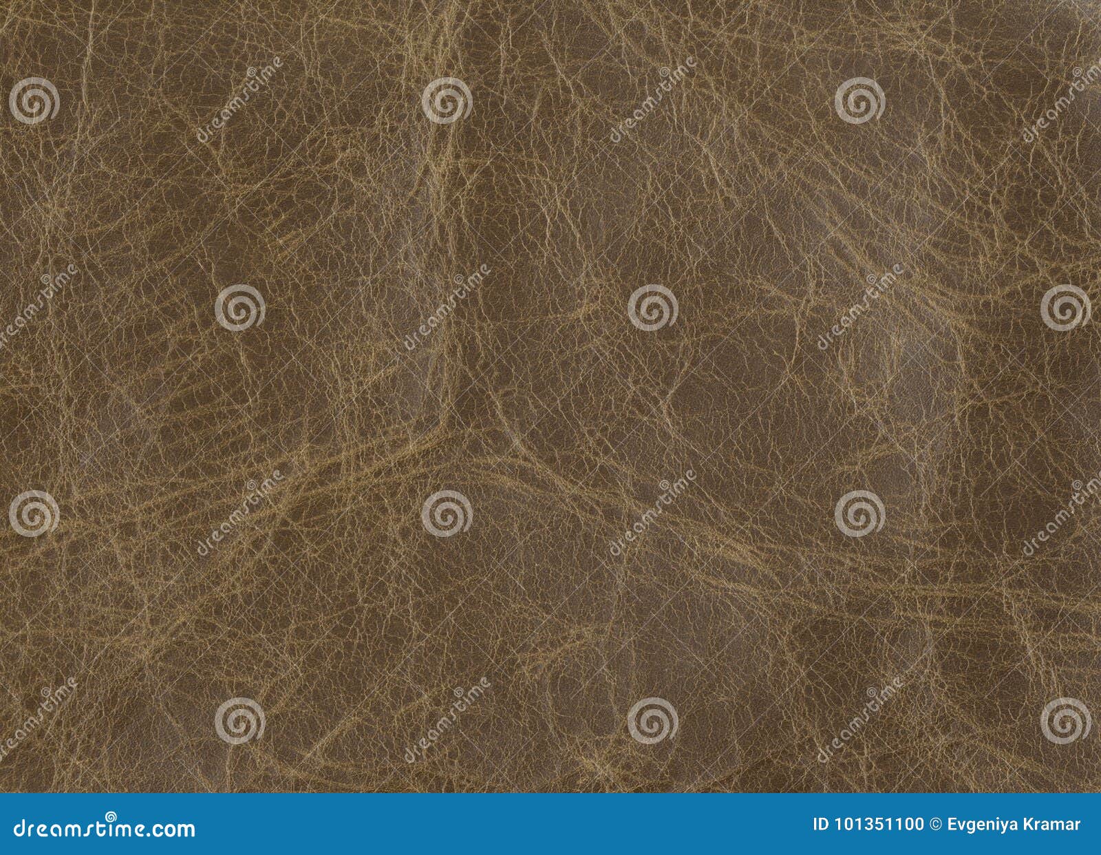 Texture Crafted of Sleek Patent Leather Green Stock Photo - Image of ...