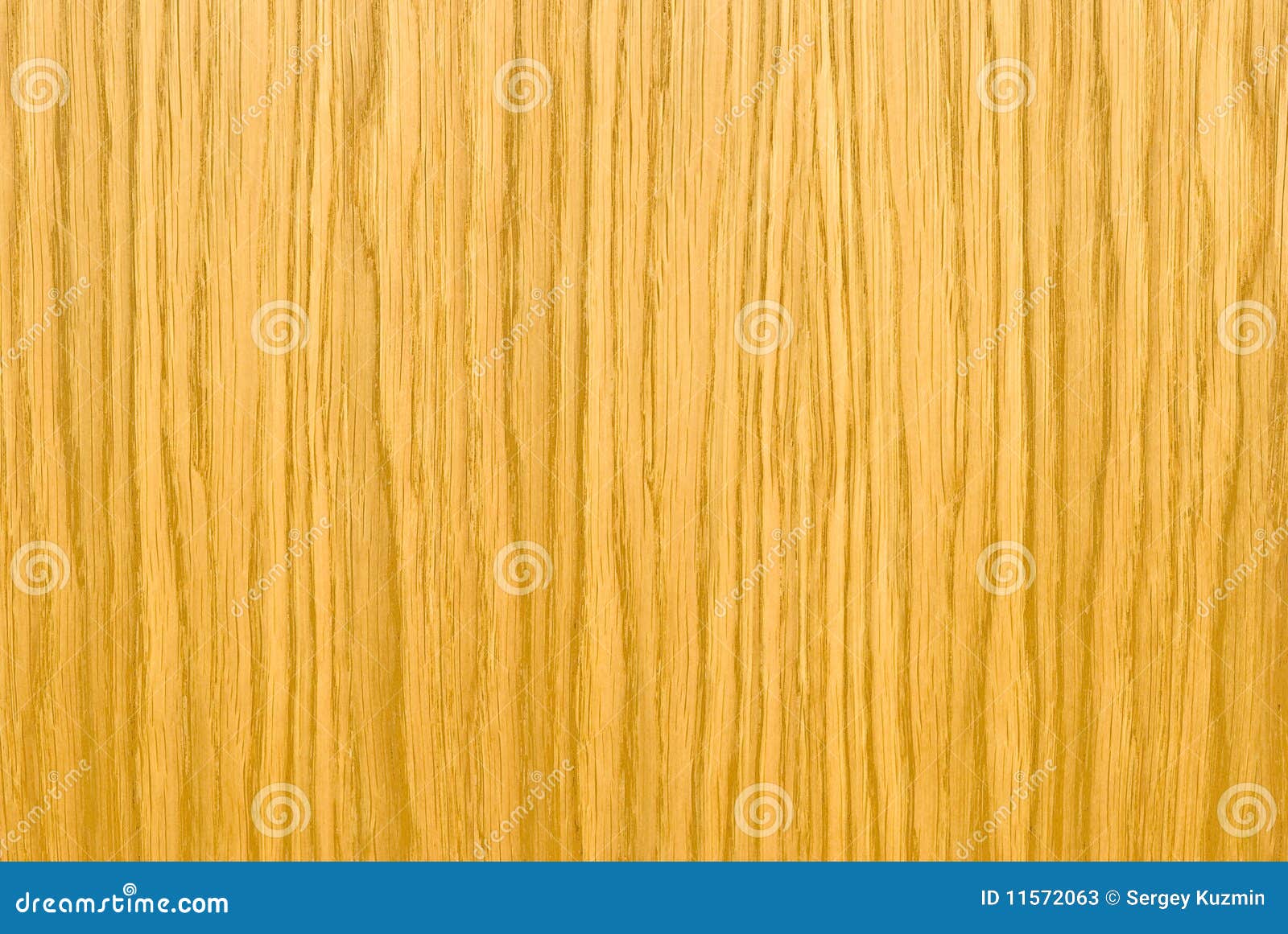 Background Texture Light Oak Stock Image - Image of background, tree ...