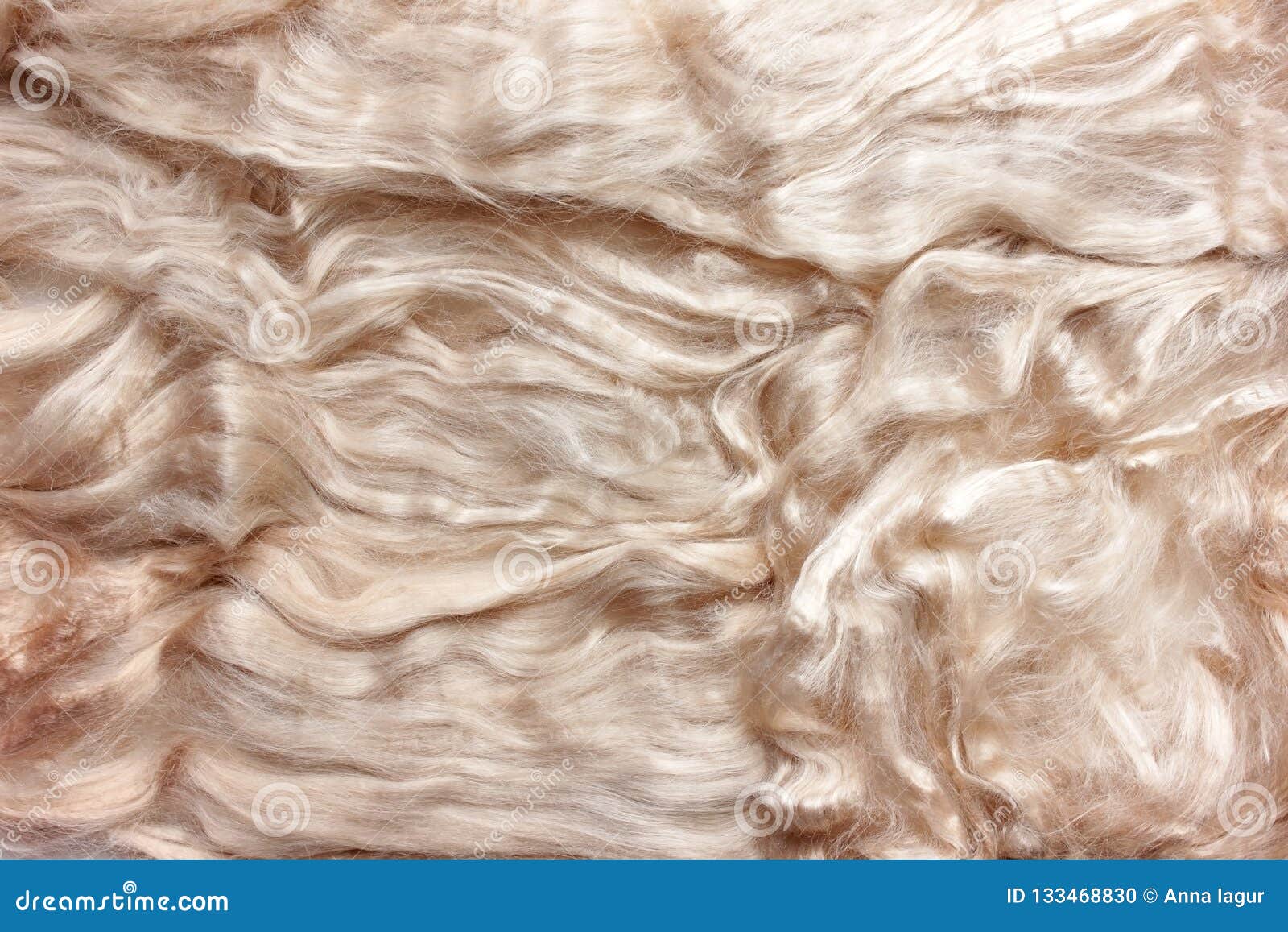 Background with Texture of Light Wool Curls Stock Photo - Image of ...
