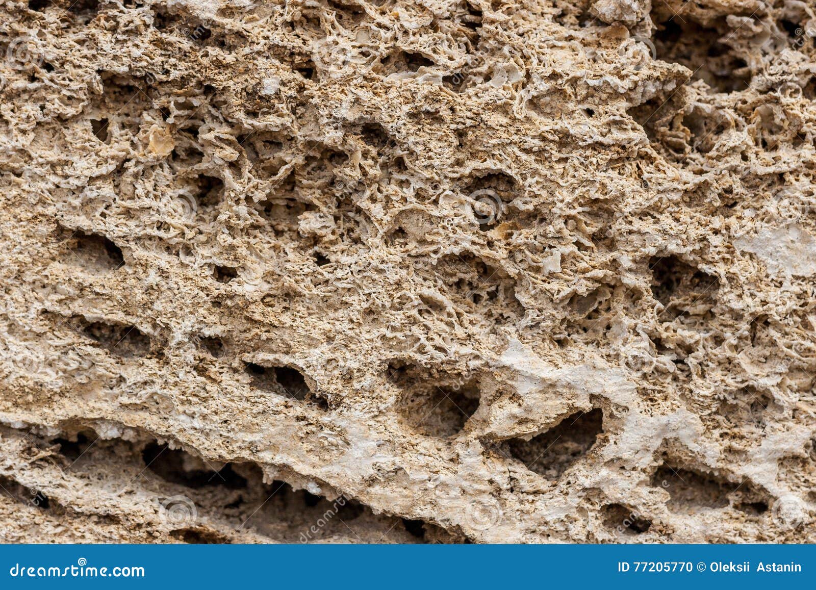 Background. the Texture of Limestone and Lime Close Up Stock Photo ...