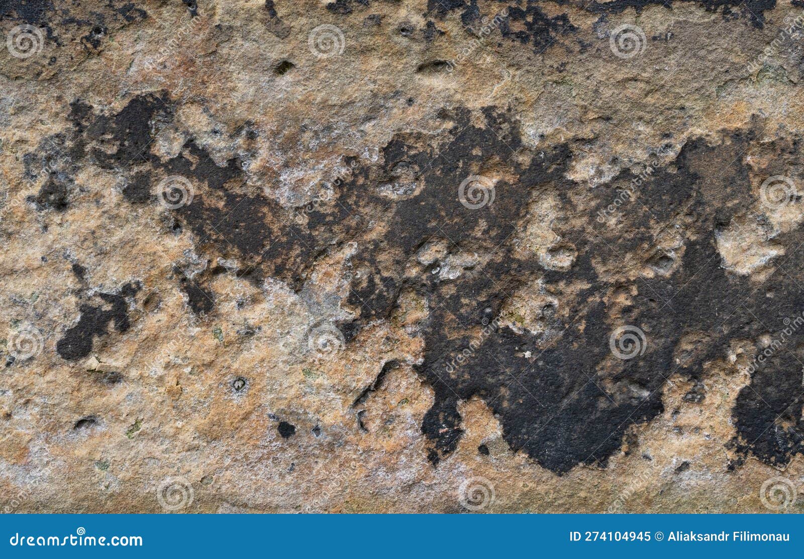 Background Texture of Limestone Stone Surface Stock Image - Image of ...