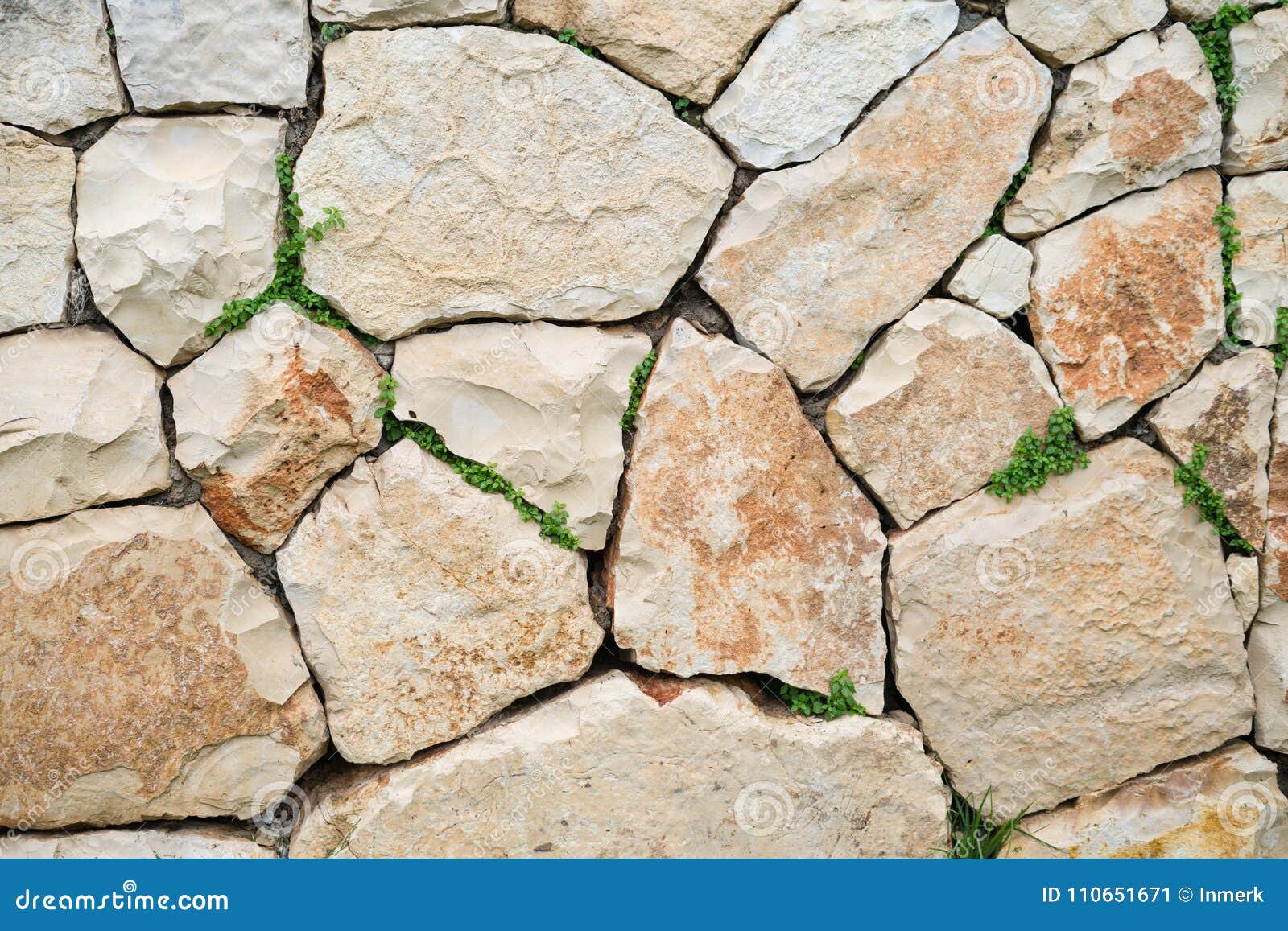 Background Texture of Limestone Stone Surface with Green Grass Stock ...