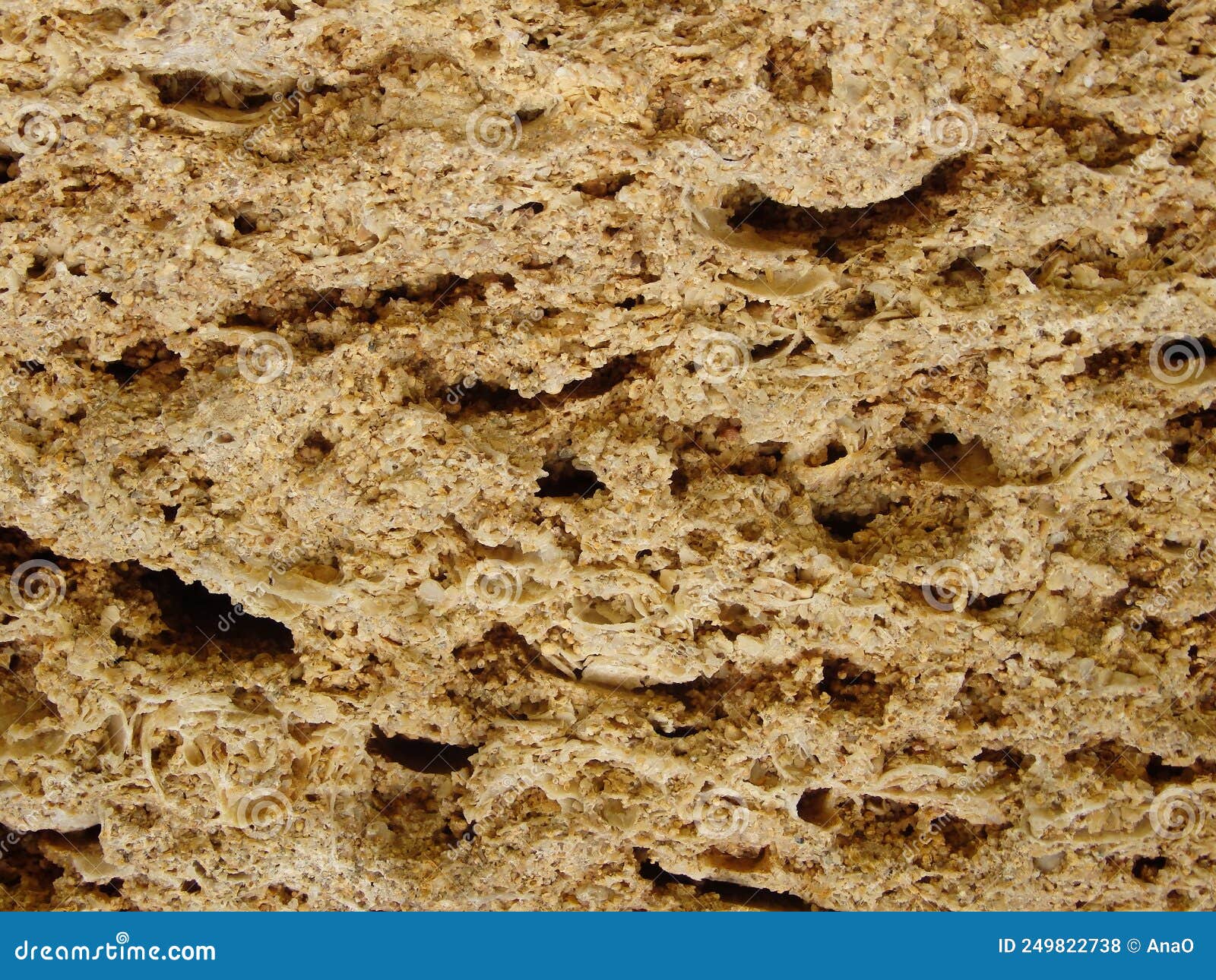 Background Texture of Limestone Stone Surface. Shell Limestone Close-up ...