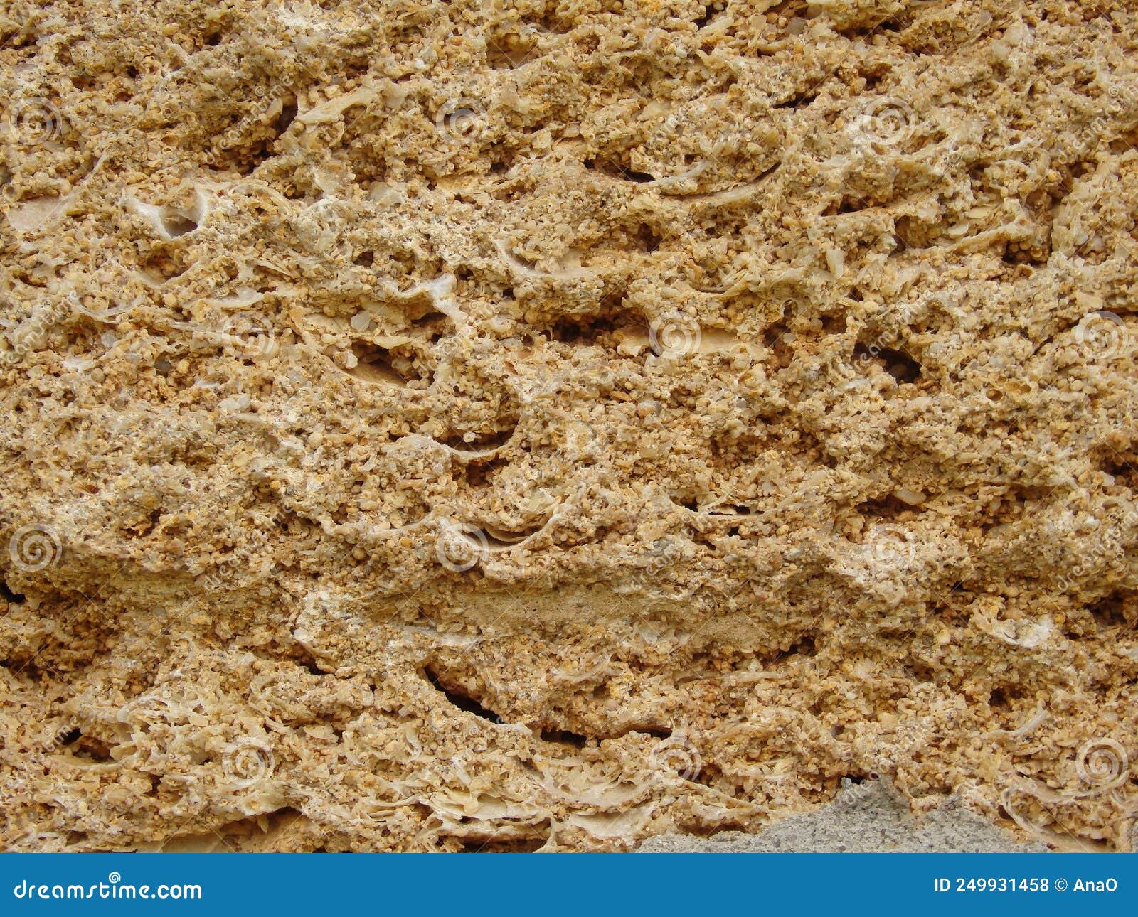 Background Texture of Limestone Stone Surface. Shell Limestone Close-up ...