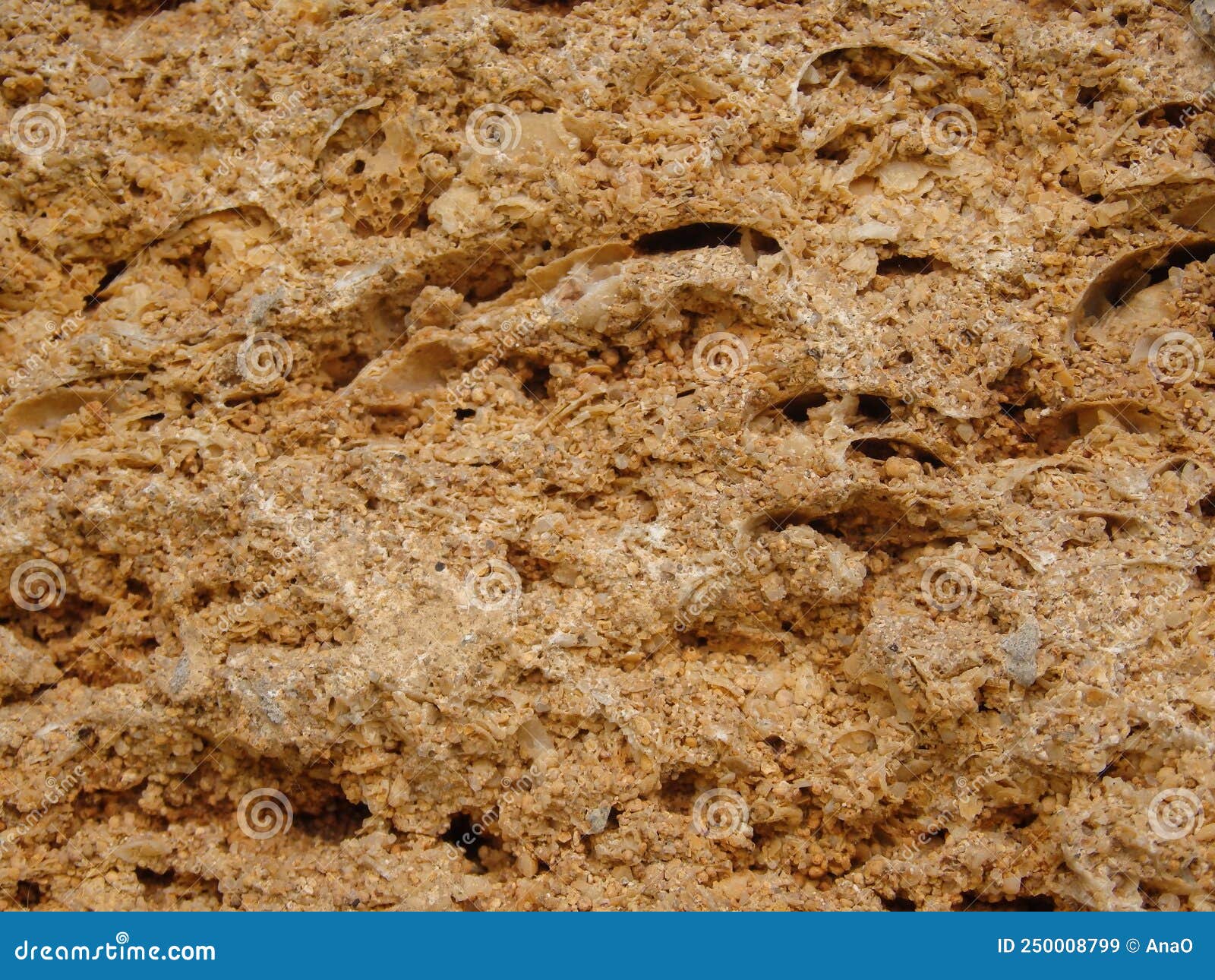 Background Texture of Limestone Stone Surface. Shell Limestone Close-up ...