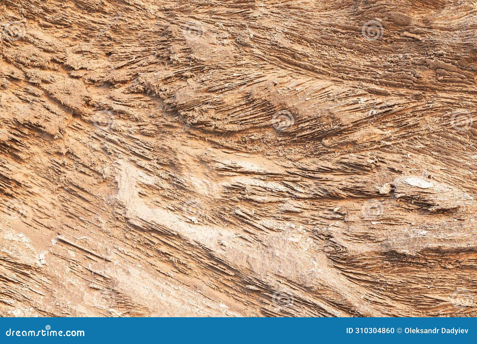 Background Texture of Limestone Surface. Warm Fossil Rock Texture ...