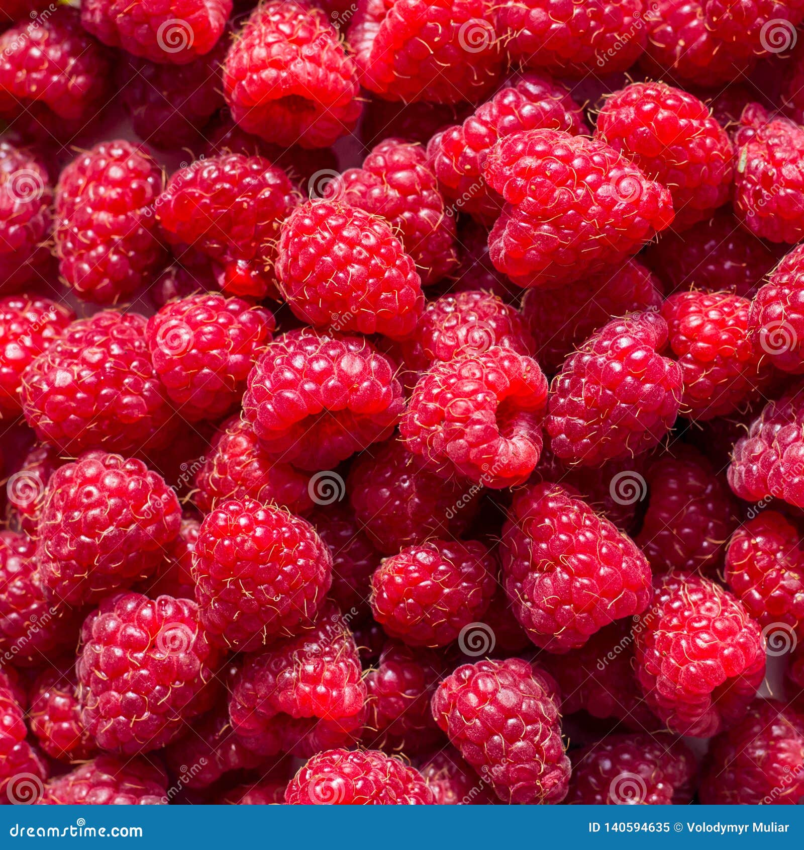 Background, Texture Made of Red Ripe Raspberry, Square_ Stock Image ...