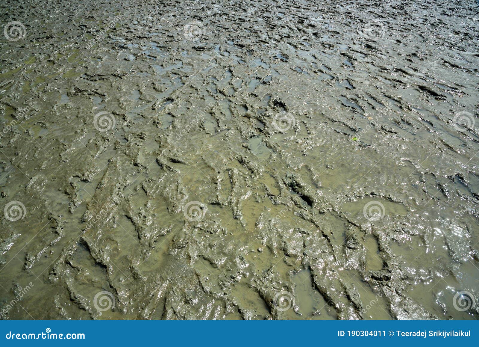 Background Texture of Mud after Low Tide Stock Image - Image of pattern ...