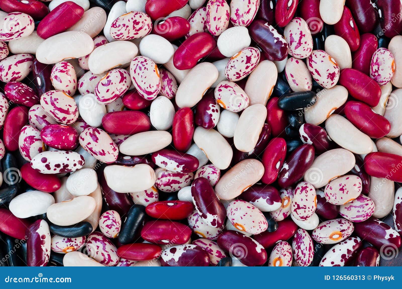 Varieties Beans Shape In Wording Bean On Wooden Board Royalty-Free ...