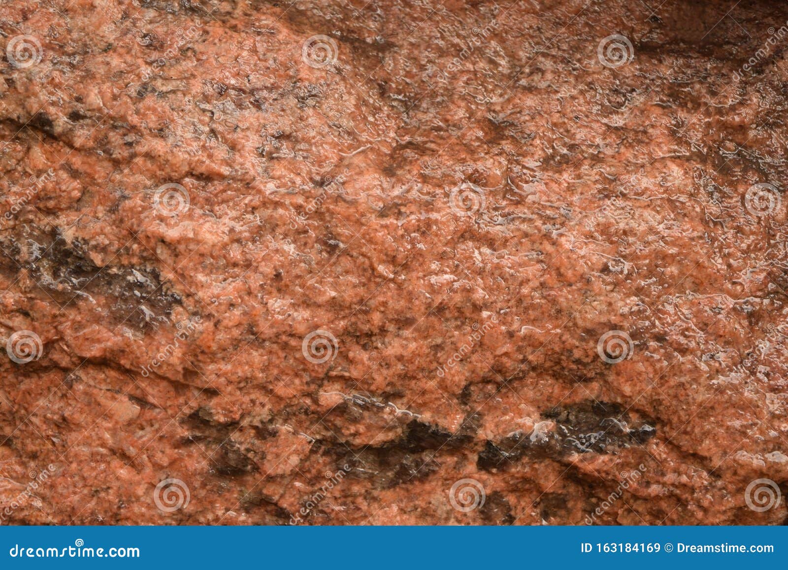 Background, Texture. Natural Stone Granite. Multi-colored - Red, Gray ...