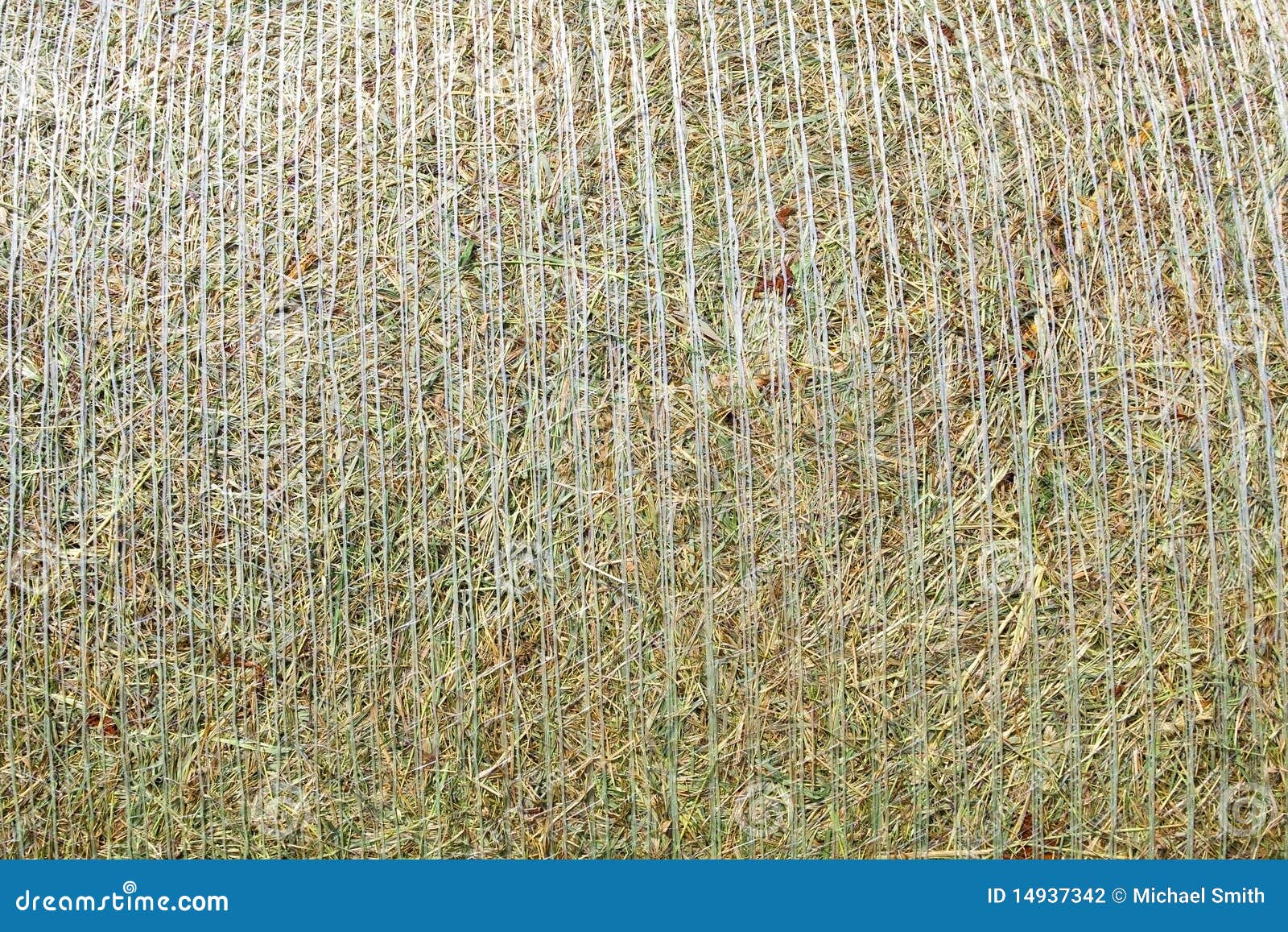 Background Texture of New Hay Stock Photo - Image of summer, patterns ...