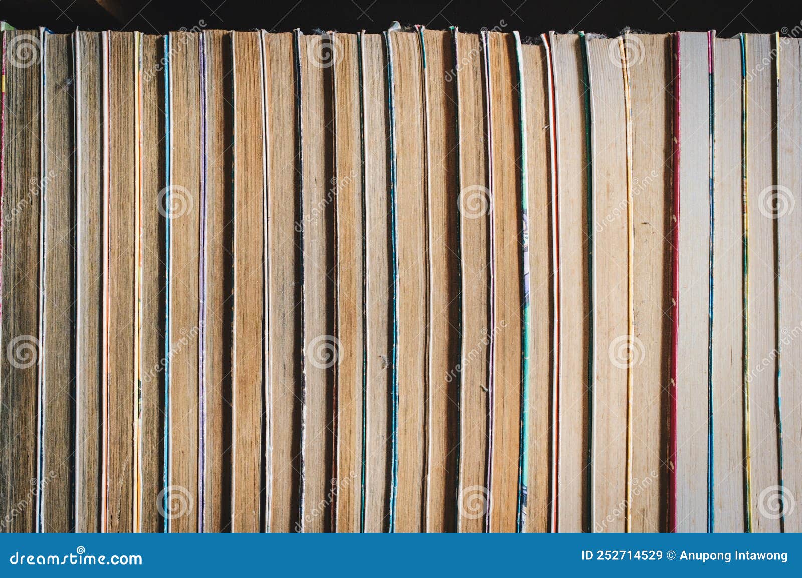 Rows of Old Pocketbooks on the Book Shelf in Library. Stock Image ...