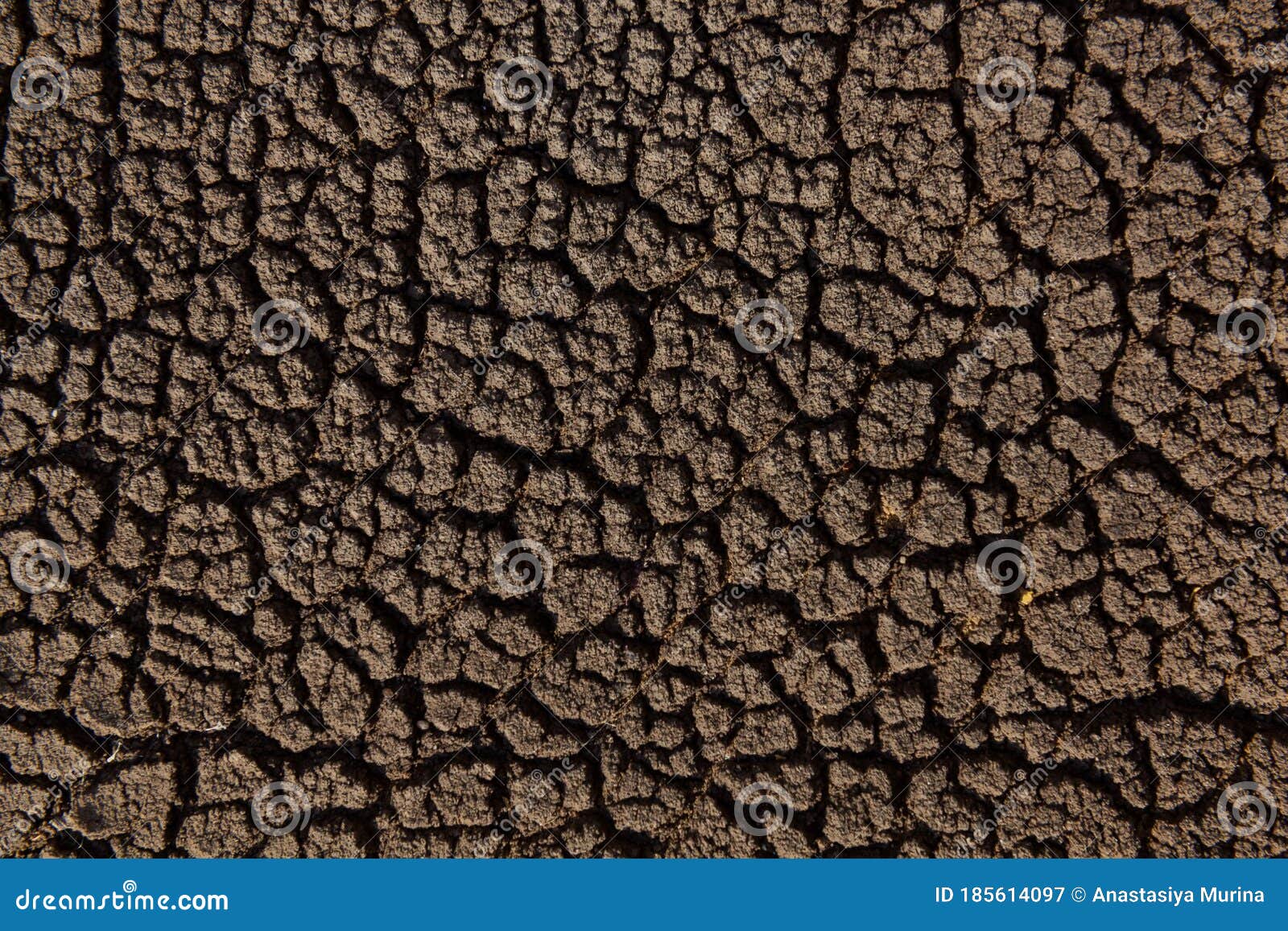 Background with Texture of Old Foam Rubber Stock Image - Image of ...