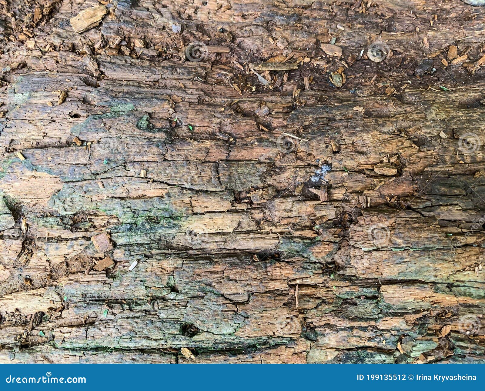 Background, Texture of an Old Rotting, Damaged Wooden Surface Stock ...