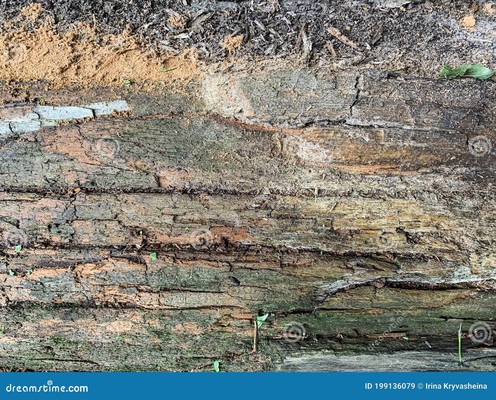 Background, Texture of an Old Rotting, Damaged Wooden Surface Stock ...
