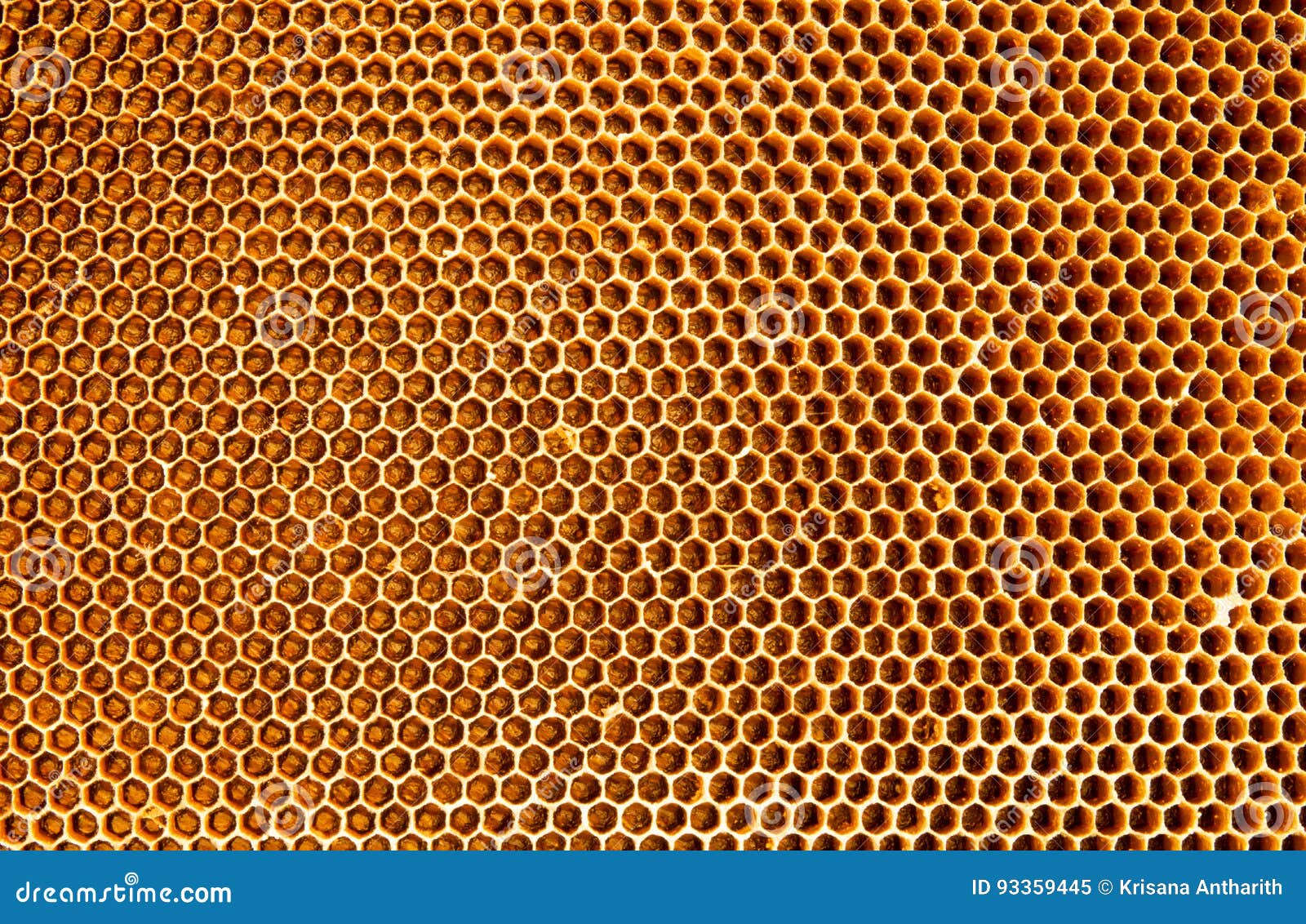 Background Texture and Pattern Honeycomb from a Bee Hive Filled Stock ...