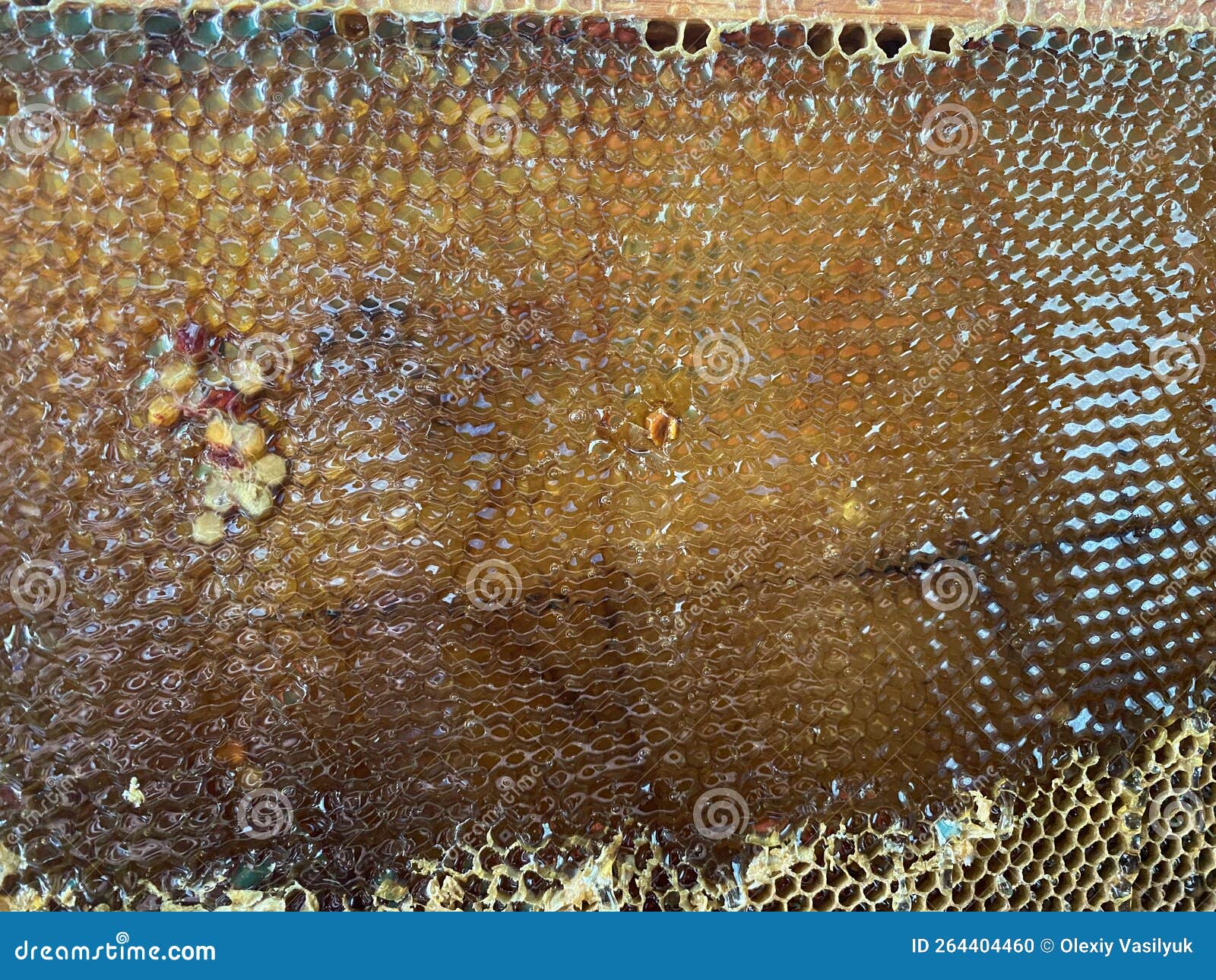 Background Texture and Pattern of a Section of Wax Stock Photo - Image ...