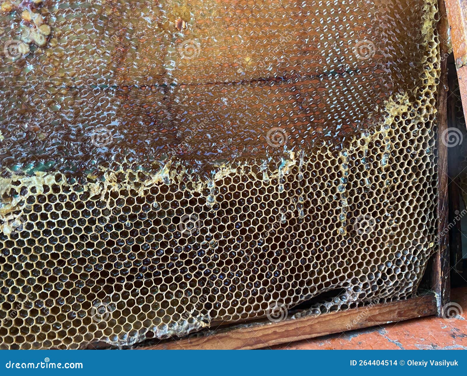 Background Texture and Pattern of a Section of Wax Stock Photo - Image ...