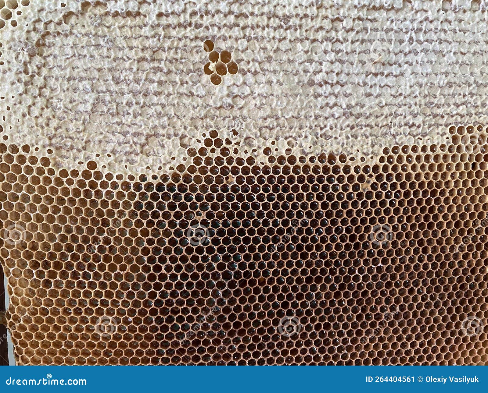 Background Texture and Pattern of a Section of Wax Stock Image - Image ...