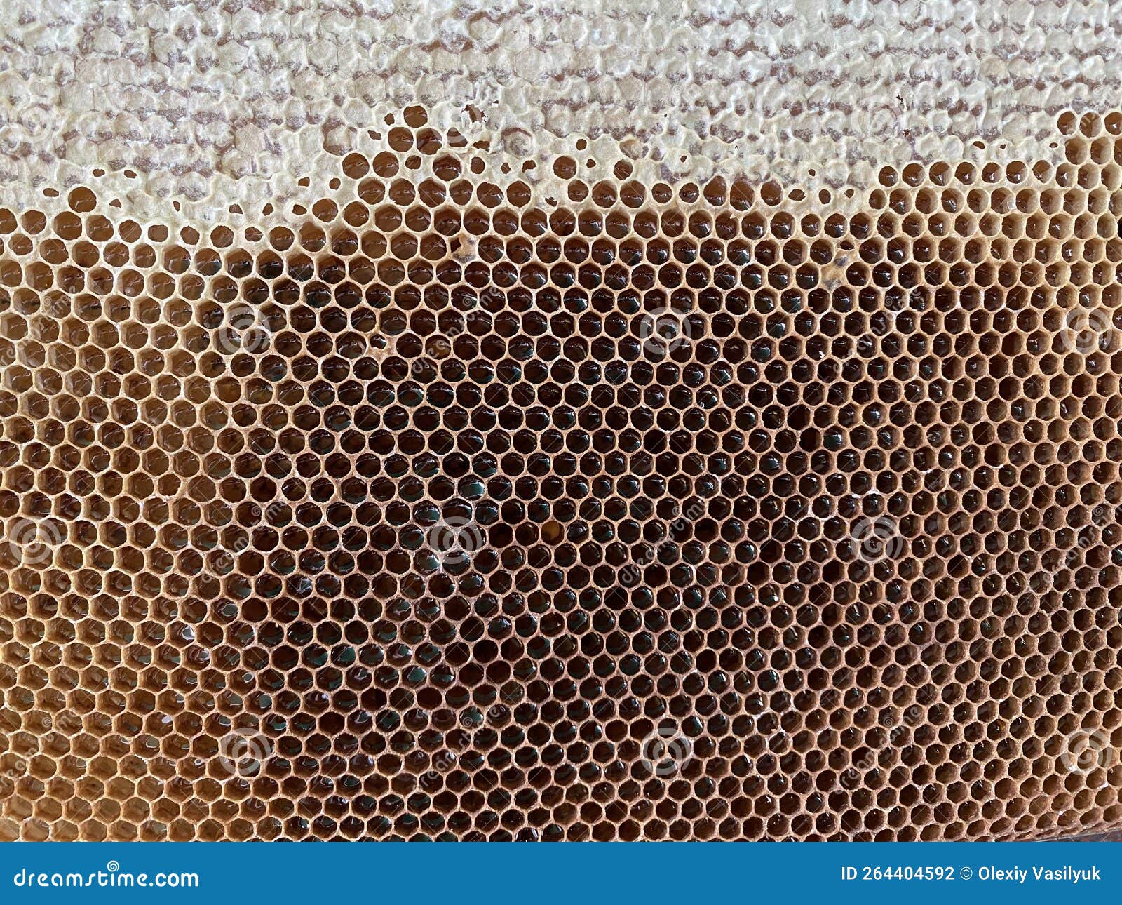 Background Texture and Pattern of a Section of Wax Stock Photo - Image ...