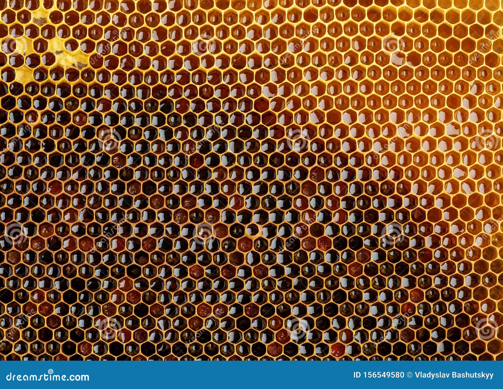Background Texture and Pattern of a Section of Wax Honeycomb from a Bee ...