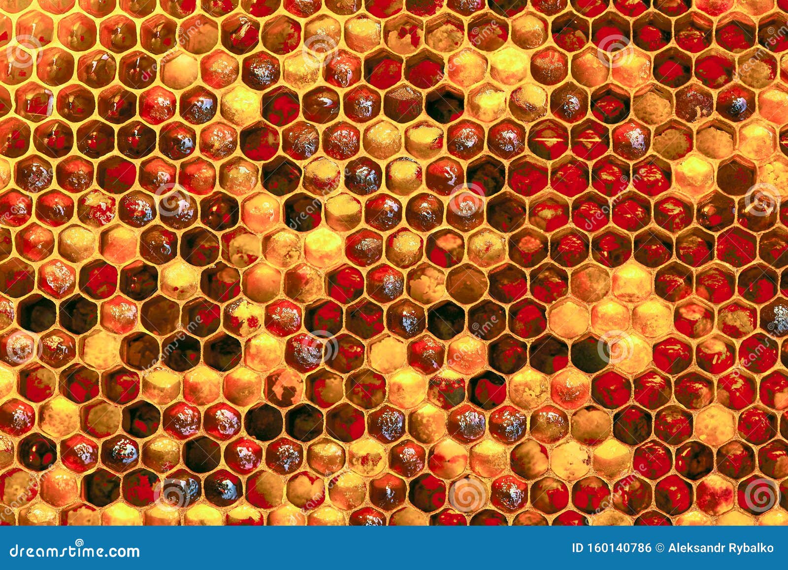 Background Texture and Pattern of a Section of Wax Honeycomb from a Bee ...
