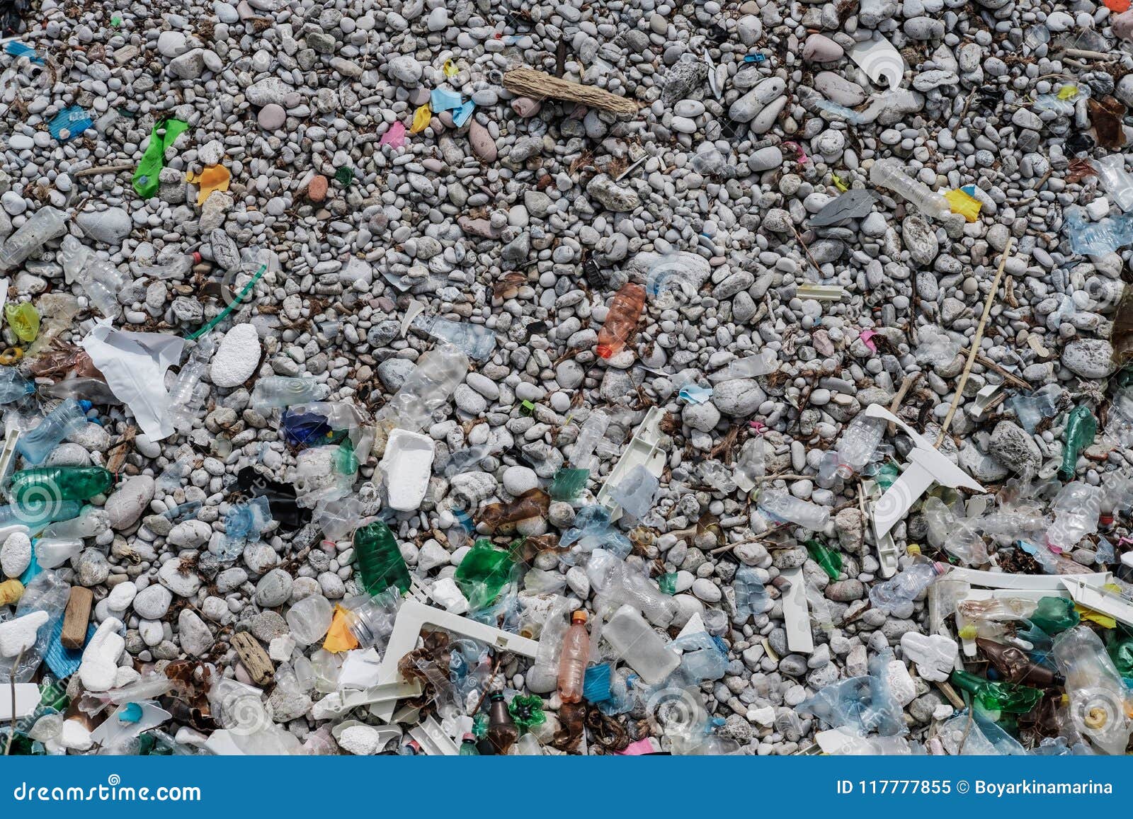 Plastic Bag Debris On The Mangrove Tree Royalty-Free Stock Photo ...