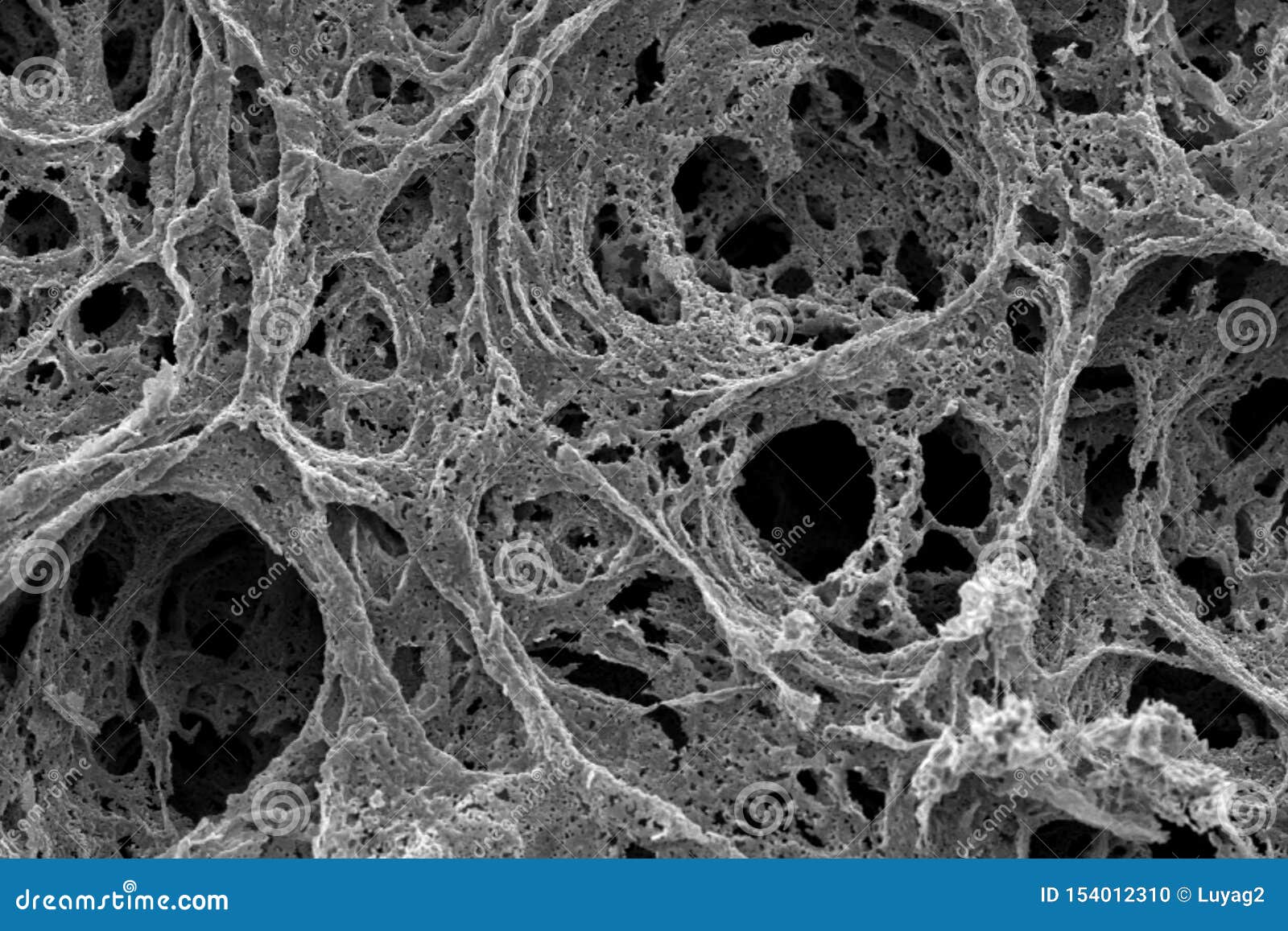 Background Texture of Porous Material Stock Photo - Image of holes ...