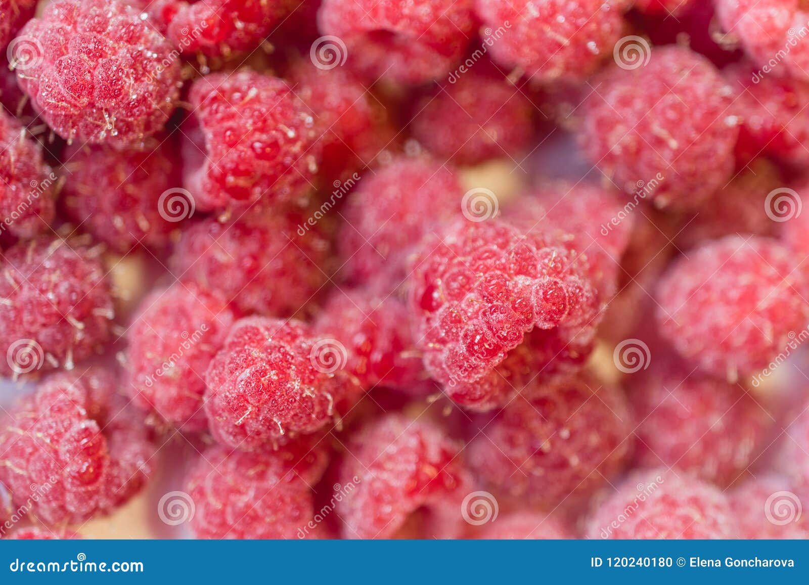 Raspberry Frozen Macro Stock Photo | CartoonDealer.com #211059360