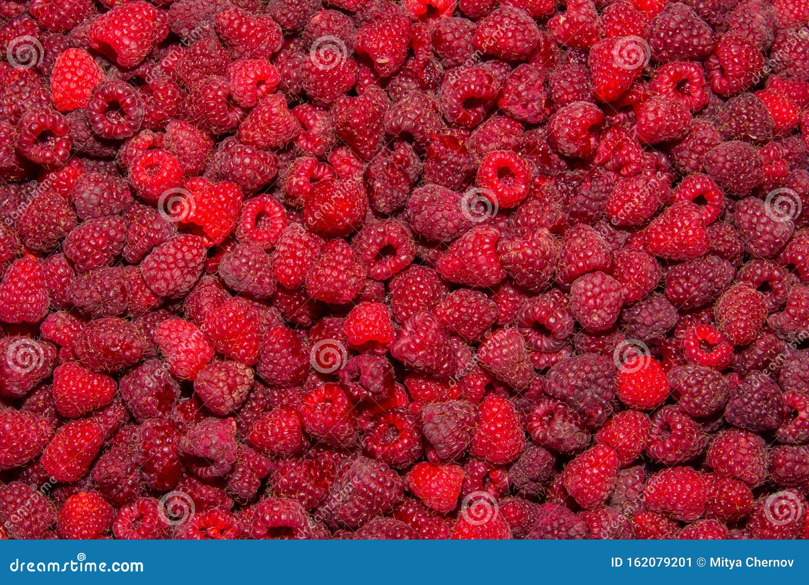 Background-texture of Red Overripe Raspberry Rubus Idaeus. Ripe ...