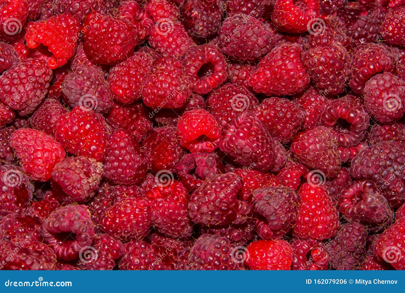 Background-texture of Red Overripe Raspberry Rubus Idaeus. Ripe ...
