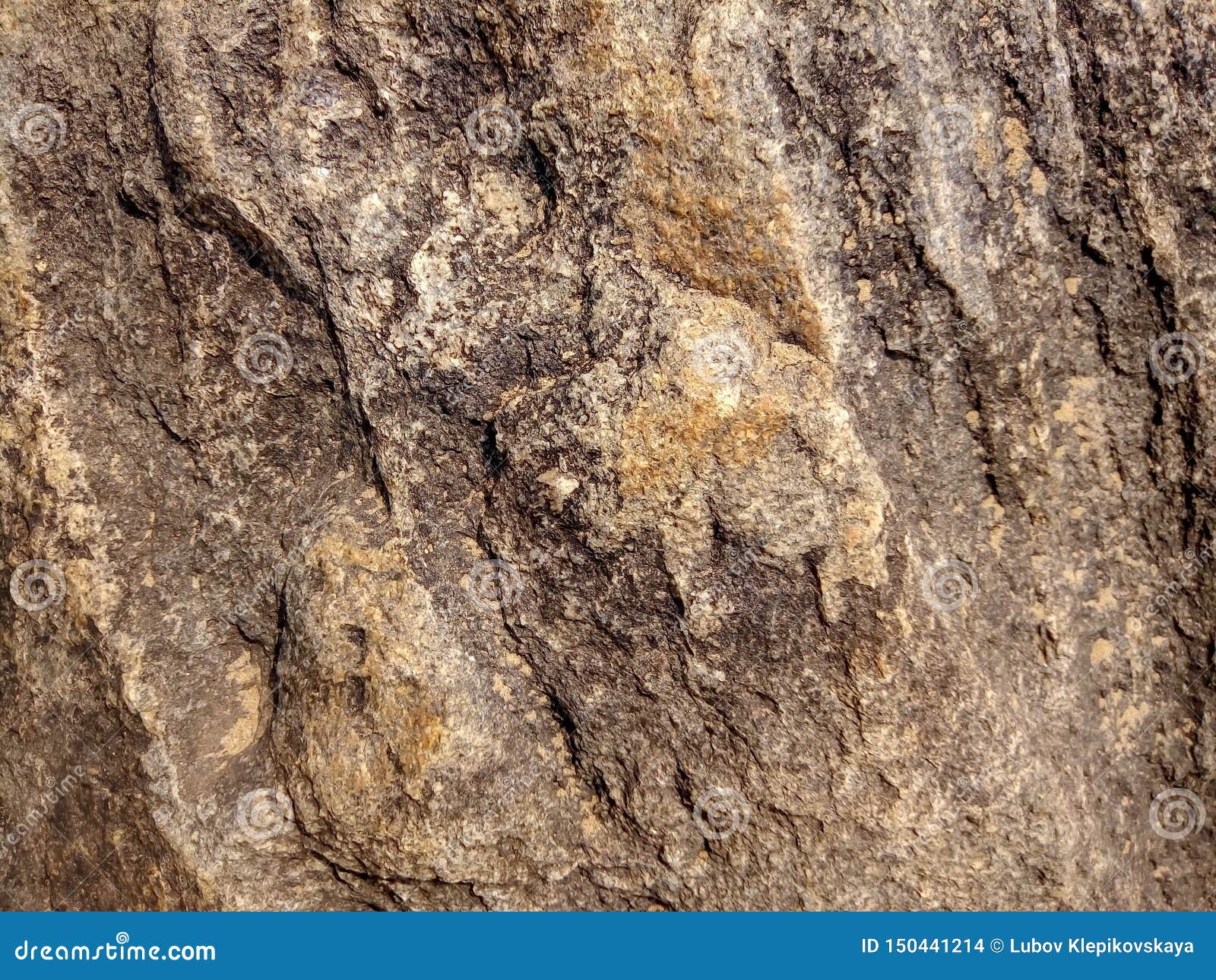 Texture of Rock on the Beach Stock Photo - Image of stone, granite ...