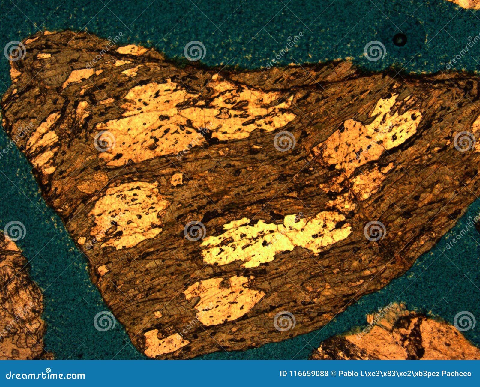 Background Texture Rocks and Minerals Stock Photo - Image of nature ...