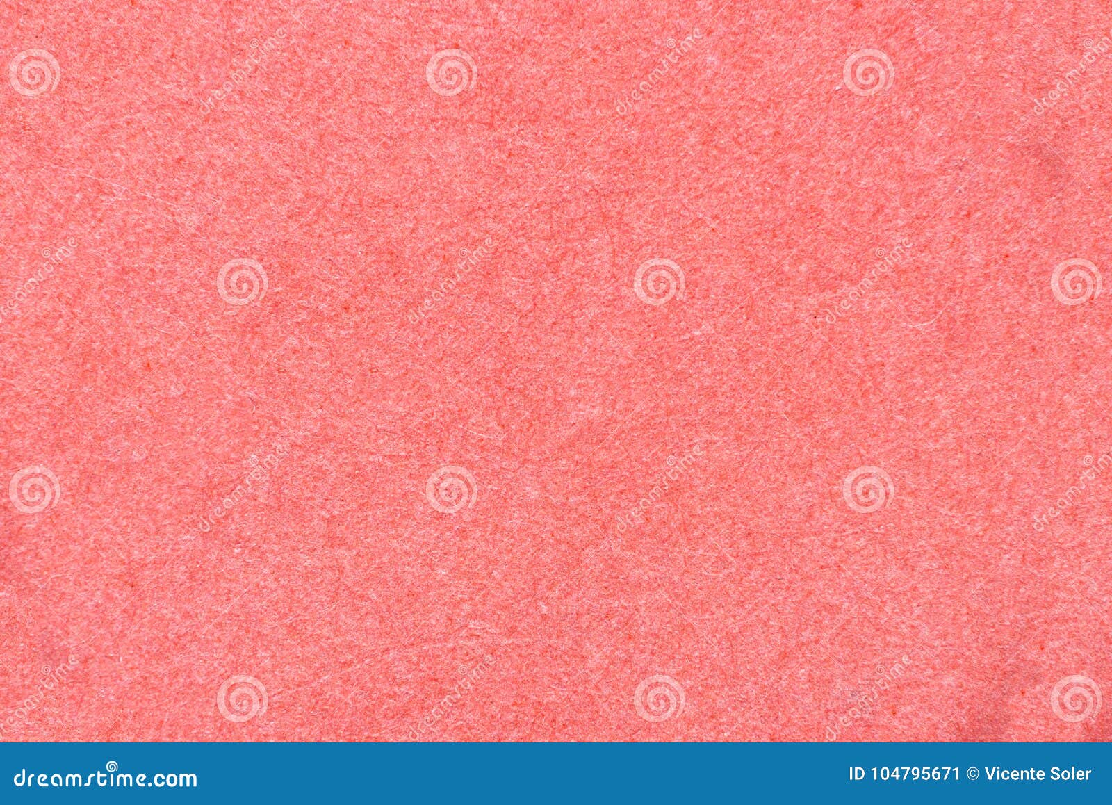 A Background with a Texture of a Rose Color Stock Image - Image of ...