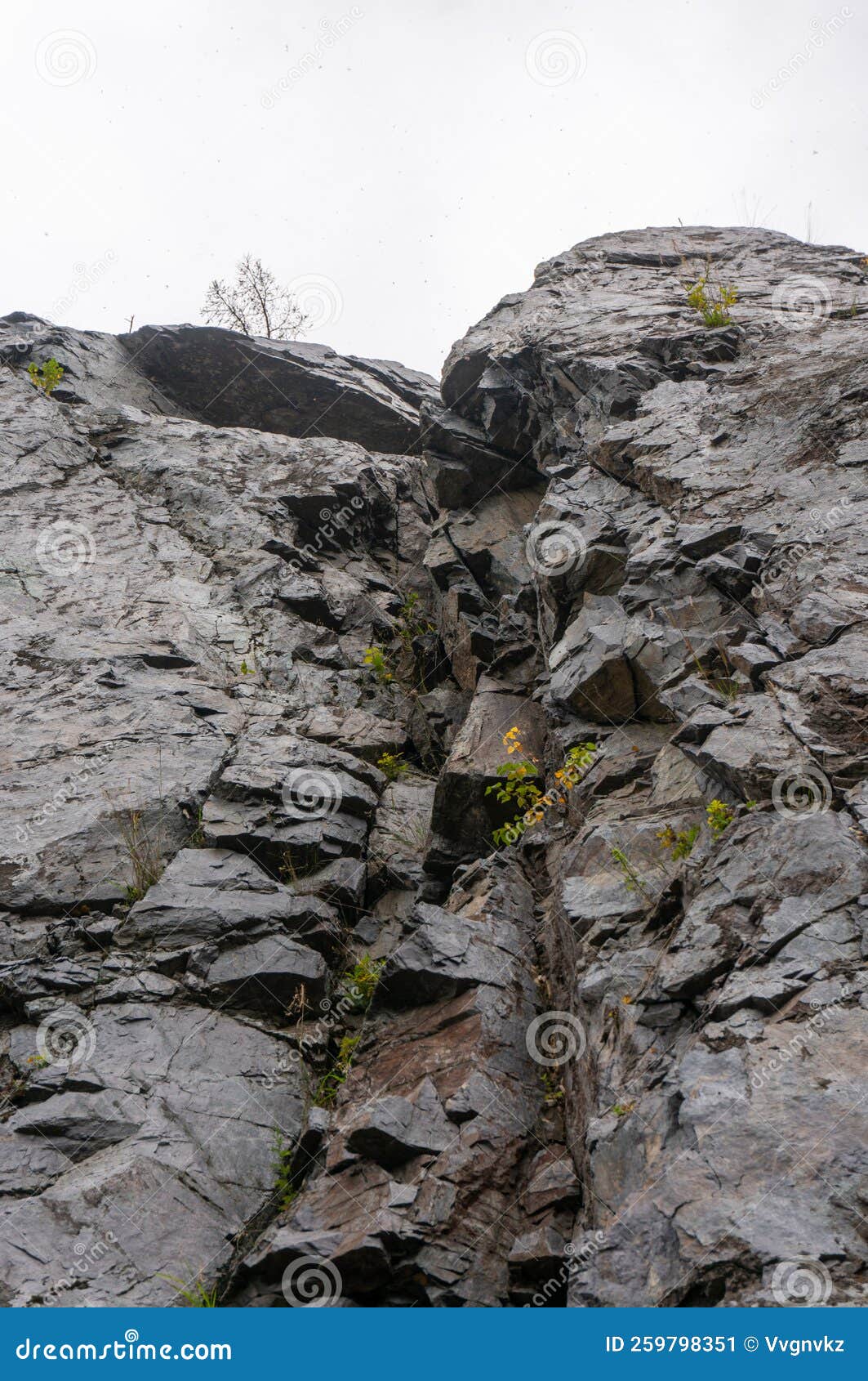 Background, Texture Rough Stones of a Stone Cliff Stock Image - Image ...