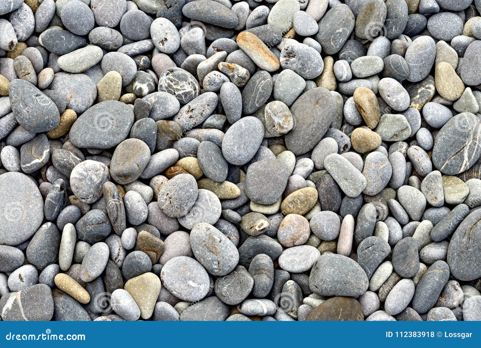 Background Texture with Round Pebble Stones Stock Photo - Image of ...