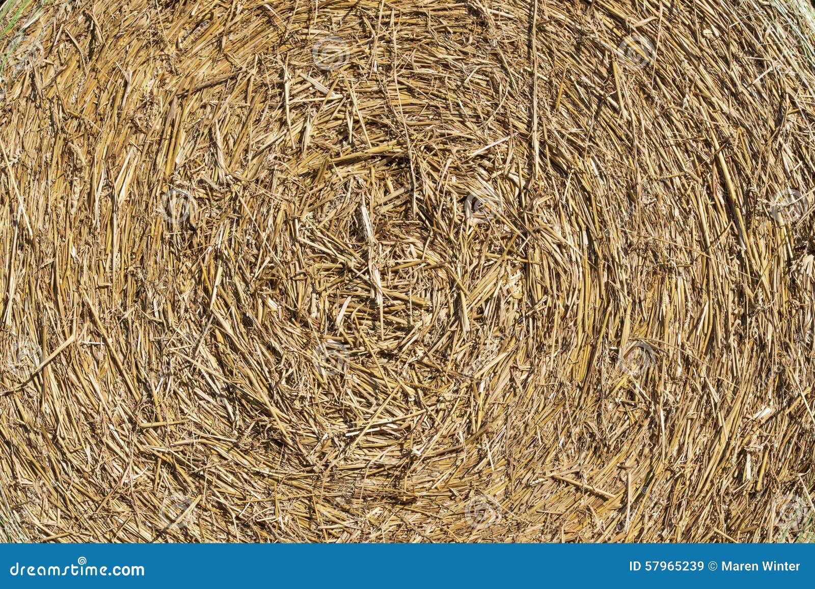 Background Texture, Round Straw Bale Stock Image - Image of country ...