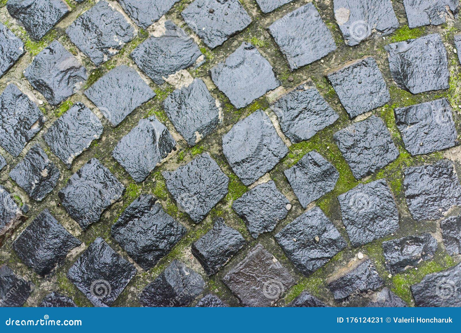 Background, Texture, Round Vintage Stone Gray Pavers with Raindrops ...