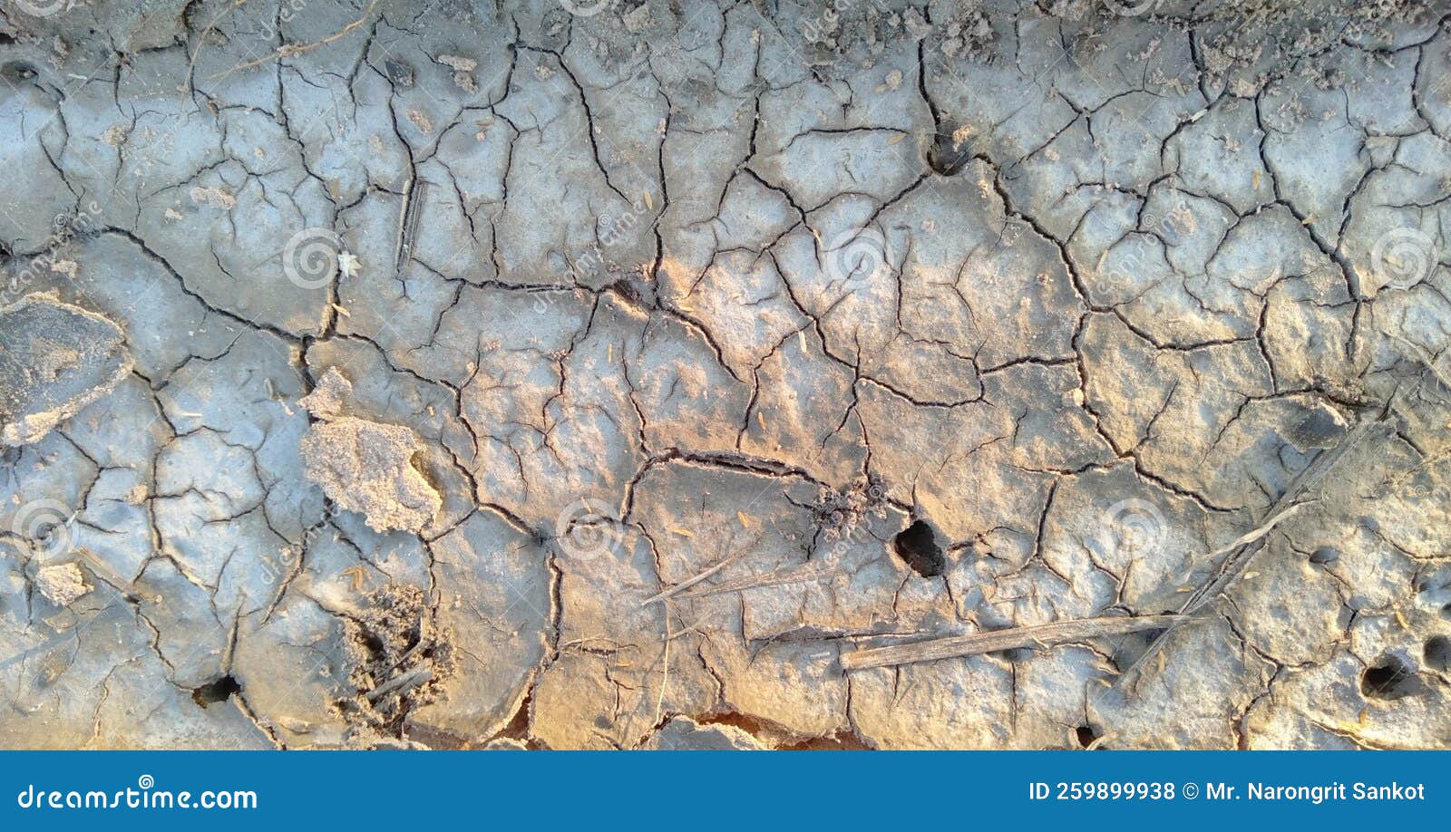 Background and Texture of Saline Soil Salt Stains Stock Photo - Image ...