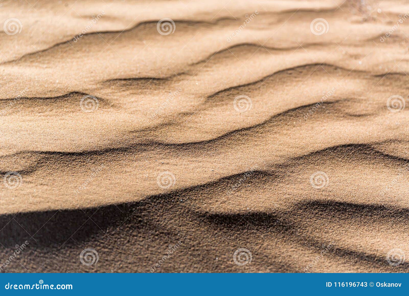 Background Texture of Sand Pattern of Dune Stock Image - Image of ...