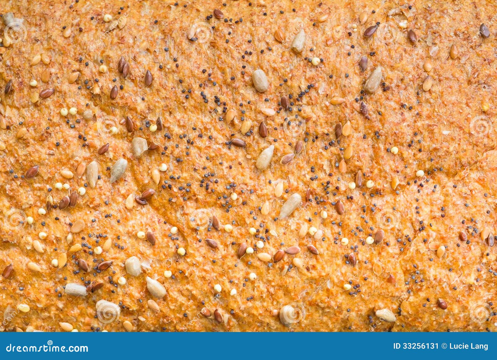 Background Texture of a Seeded Loaf of Bread Stock Image - Image of ...