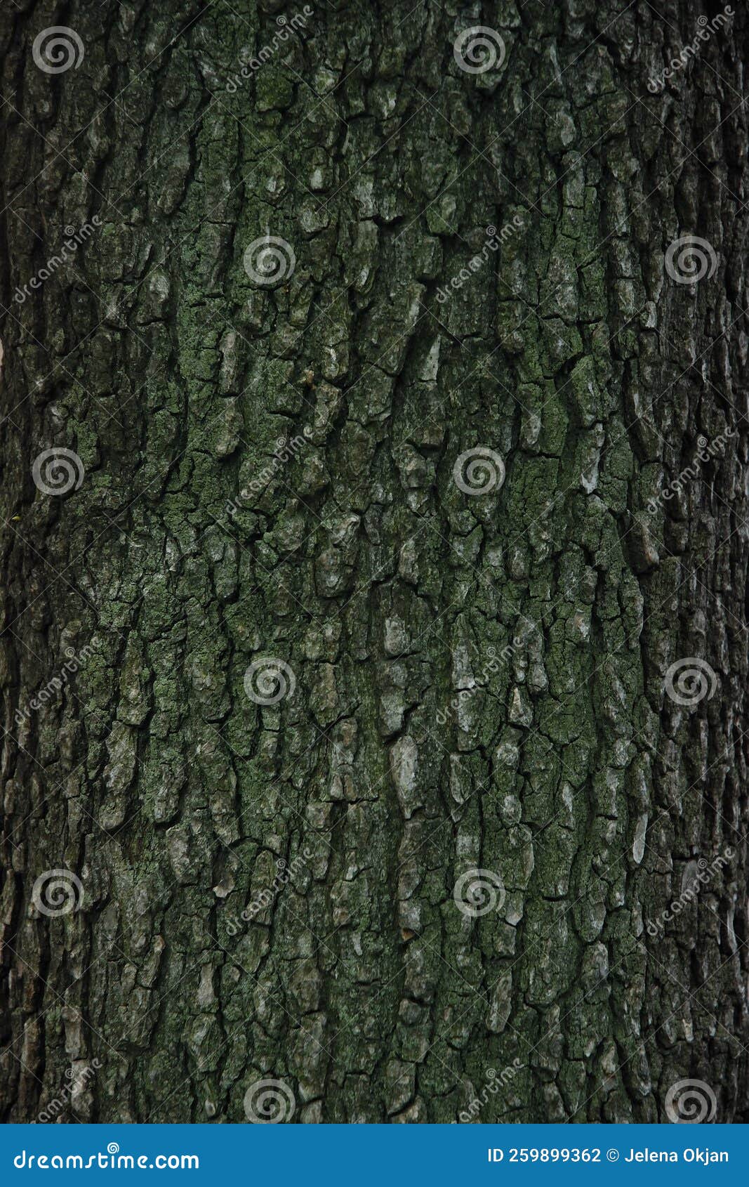 Background Texture stock photo. Image of line, color - 259899362