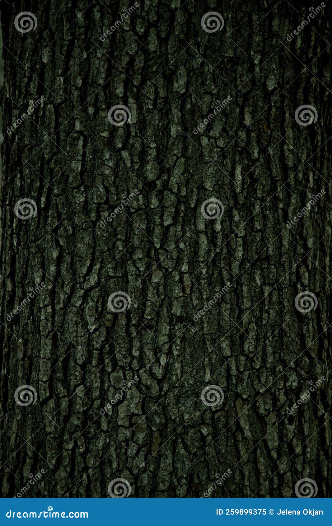 Background Texture stock image. Image of bright, creative - 259899375