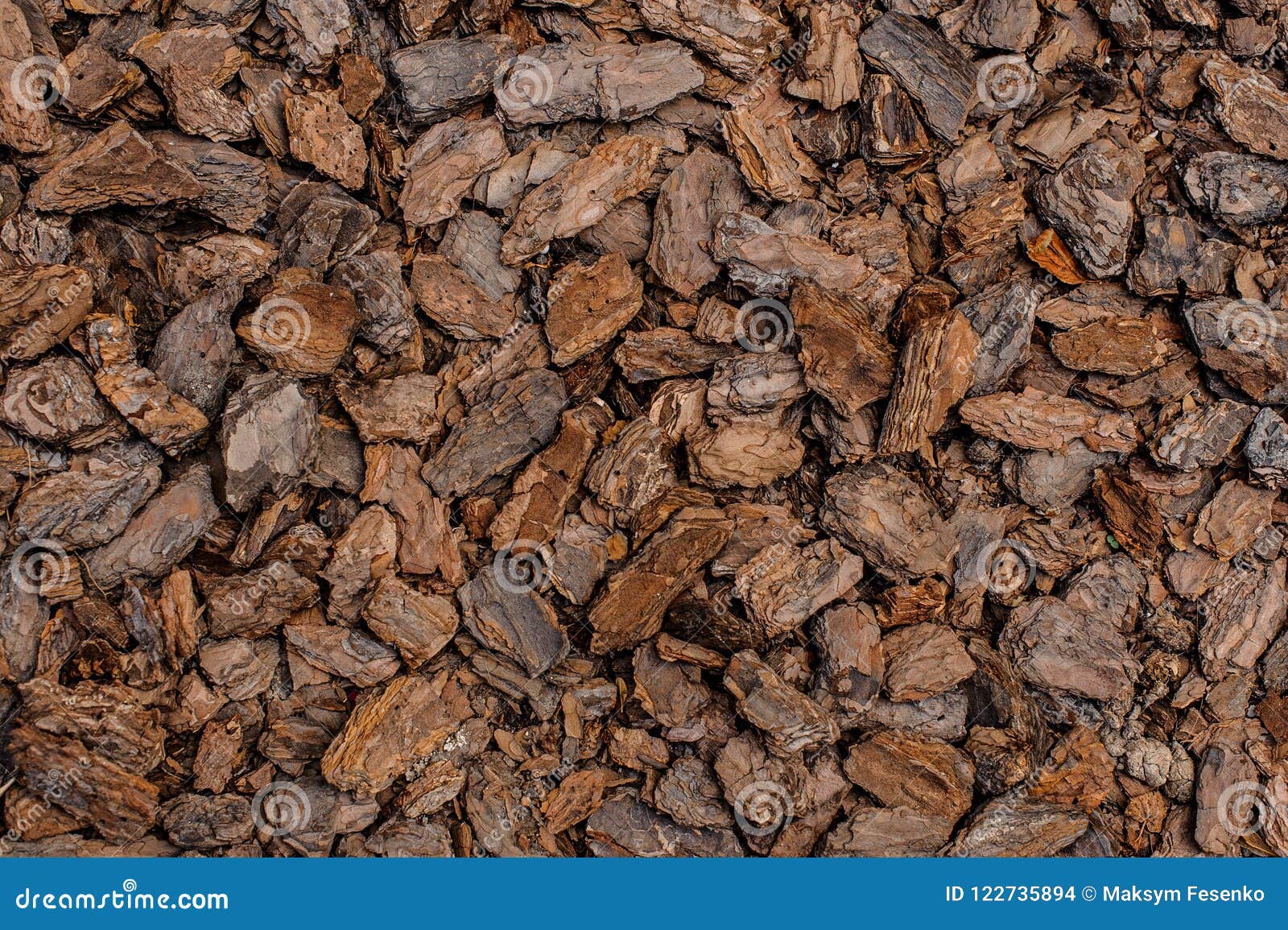 Background Texture of a Small Pieces of Bark of a Tree Stock Photo ...