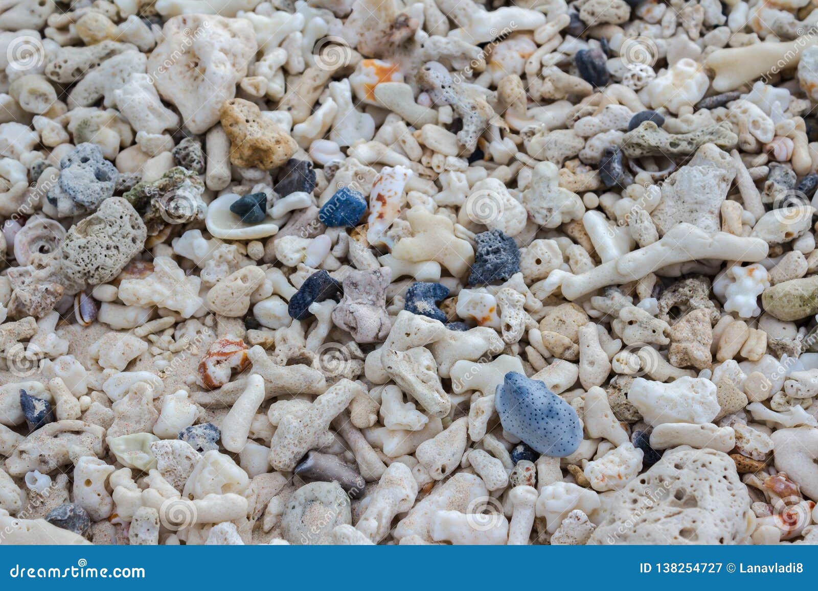 Crushed Corals Stock Photos - Free & Royalty-Free Stock Photos from ...